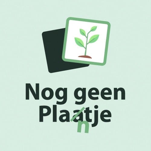 Pakket 1 meter klimplanten geveltuin ZON Online Kopen - PlantBezorgd
